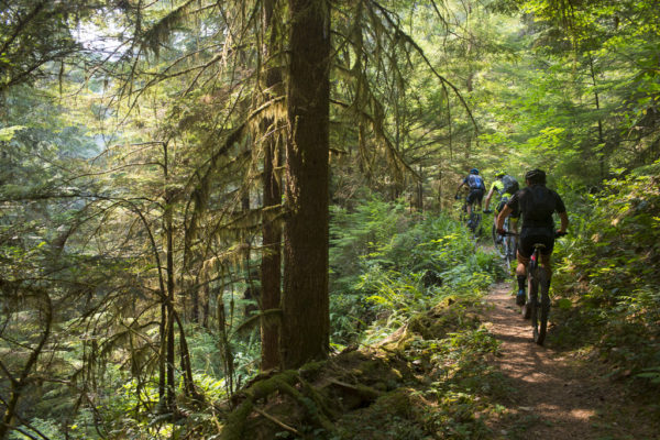 Oregon Timber Trail is a State-Spanning Bikepacker's Dream ...