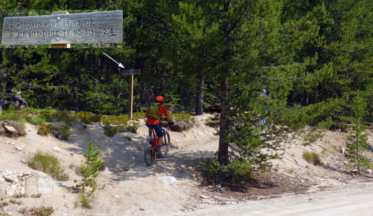 Vanishing Trails Montana, Part 1: Mountain Biking the Bitterroot Valley ...