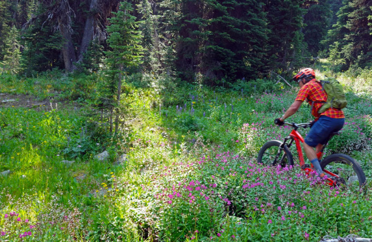 Vanishing Trails Montana, Part 1: Mountain Biking the Bitterroot Valley ...