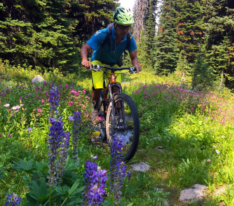 Vanishing Trails Montana, Part 1: Mountain Biking the Bitterroot Valley ...