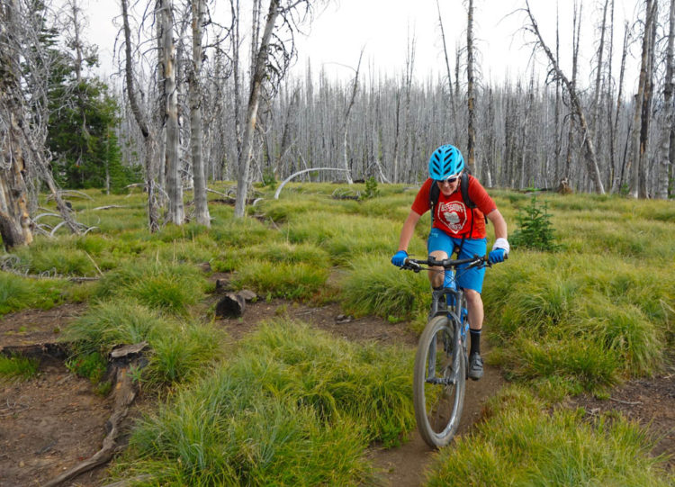 Vanishing Trails Montana, Part 1: Mountain Biking the Bitterroot Valley ...