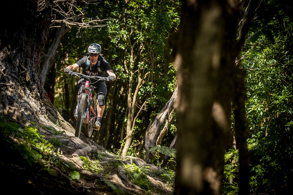 Guide to Some of the Best Mountain Biking in New Zealand: Wairoa Gorge ...