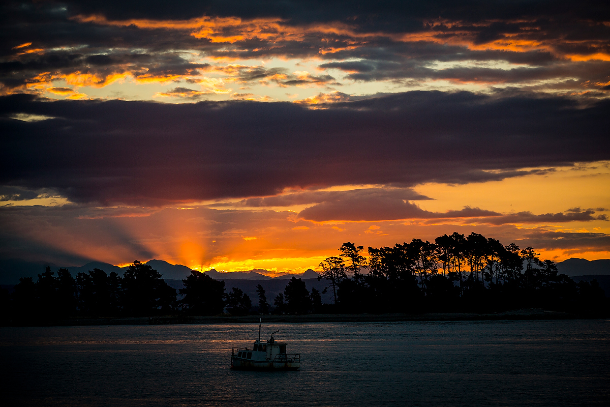 Guide to Some of the Best Mountain Biking in New Zealand: Wairoa Gorge ...