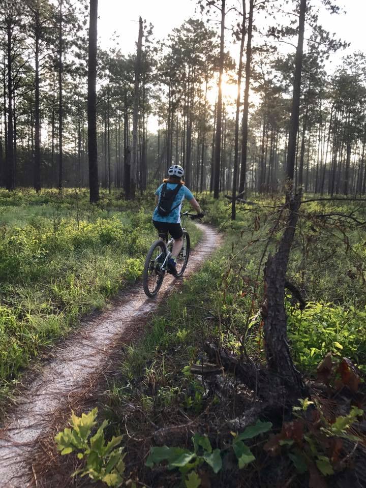 4 Reasons Why You Should Be A Fan Of Flow Trails for Mountain Biking ...