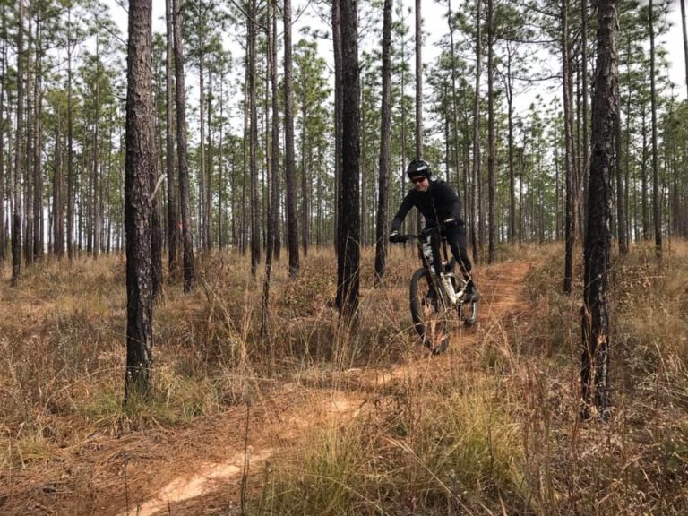 4 Reasons Why You Should Be A Fan Of Flow Trails for Mountain Biking ...