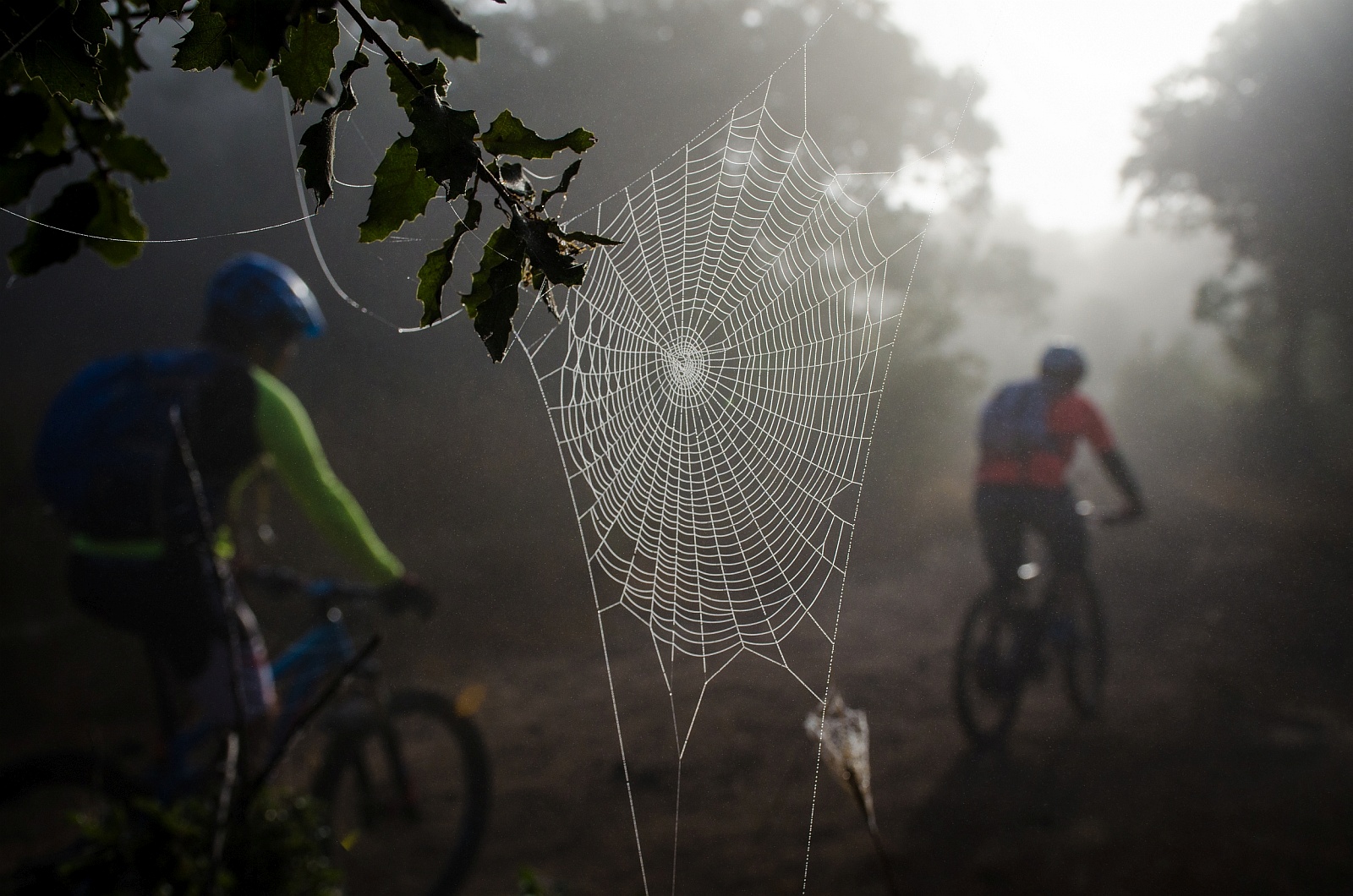 Israel's Mountain Bike Master Plan Includes Accessibility Options for ...