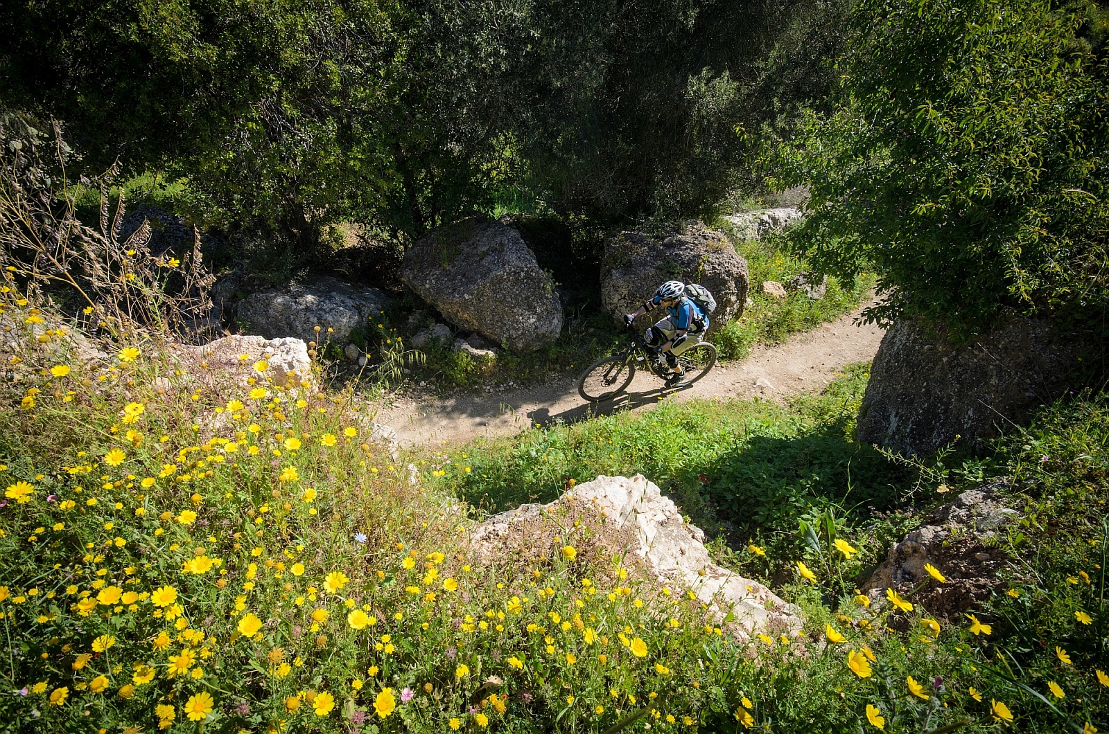 Israel's Mountain Bike Master Plan Includes Accessibility Options for ...