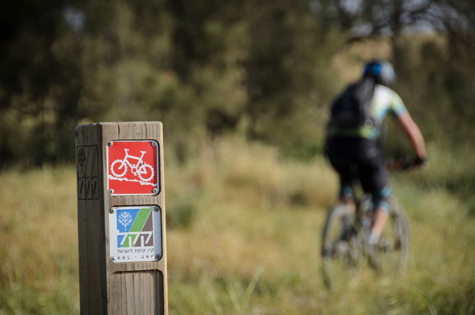 Israel's Mountain Bike Master Plan Includes Accessibility Options for ...