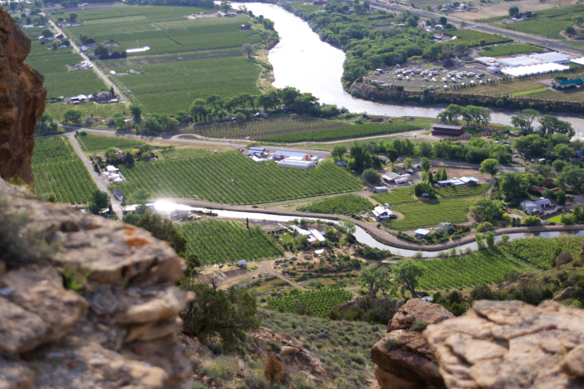 Mountain Biking Palisade, Colorado: Shred the Western Slope Trails ...