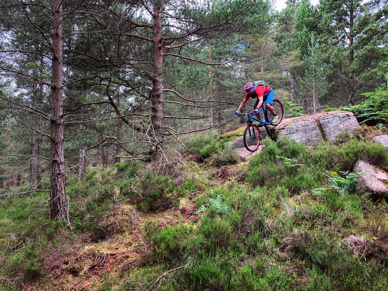 Scotland's Aberdeenshire Mountain Bike Association Is Working to ...