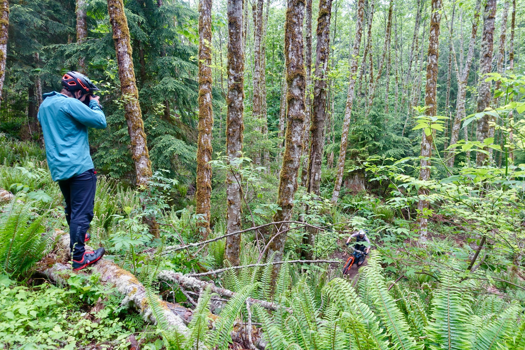 Mountain Biking Bellingham, Washington: Loamy, Steep, and Beautiful ...