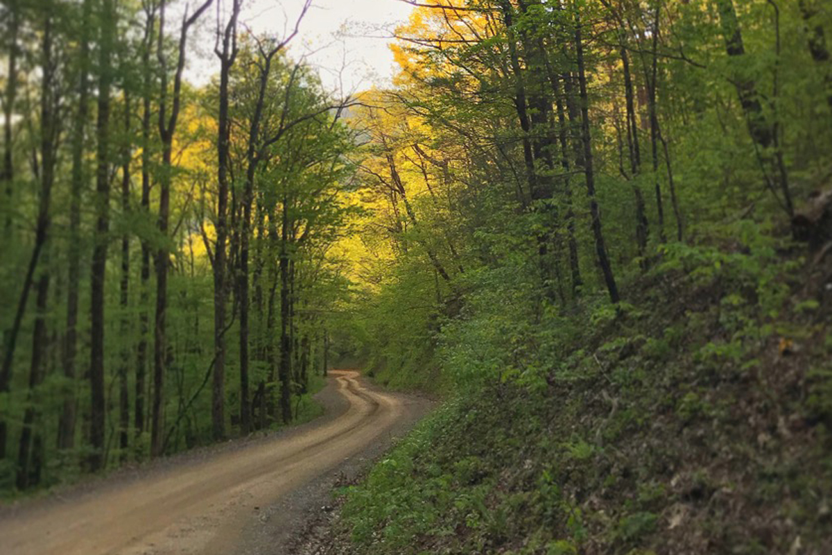 Experience the Best of Georgia Mountain Biking at Mulberry Gap Getaway ...