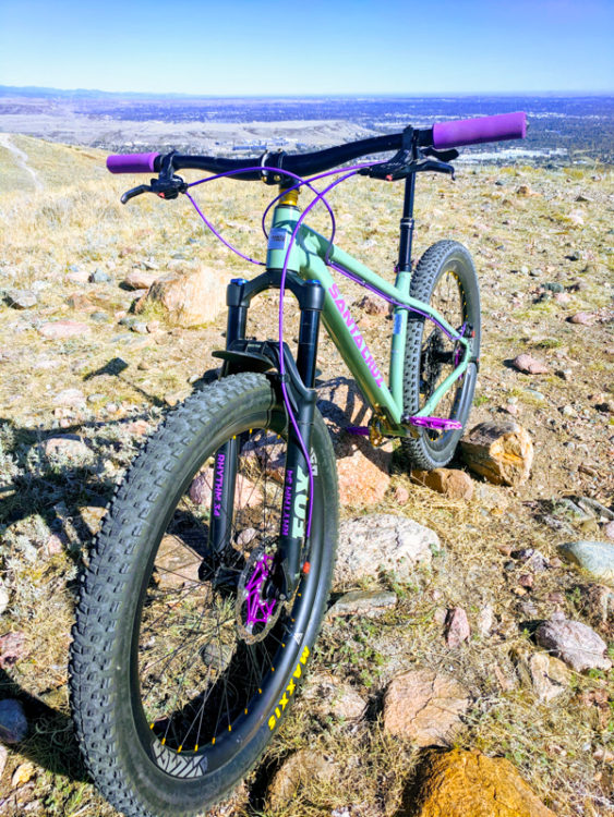 Reader Bike Check: One Colorful Chameleon that Recharges Childhood ...