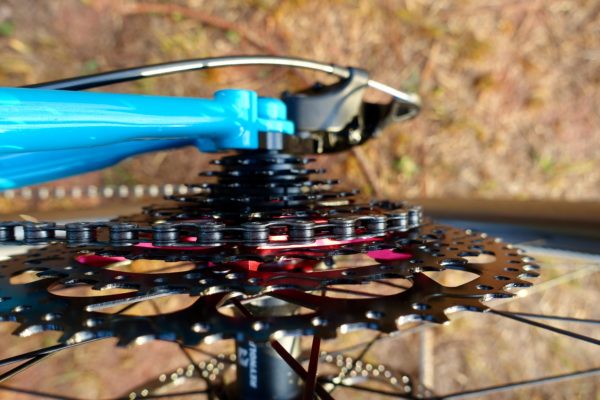 The Ultimate Hardcore Hardtail Build, 2019 - Singletracks Mountain Bike ...