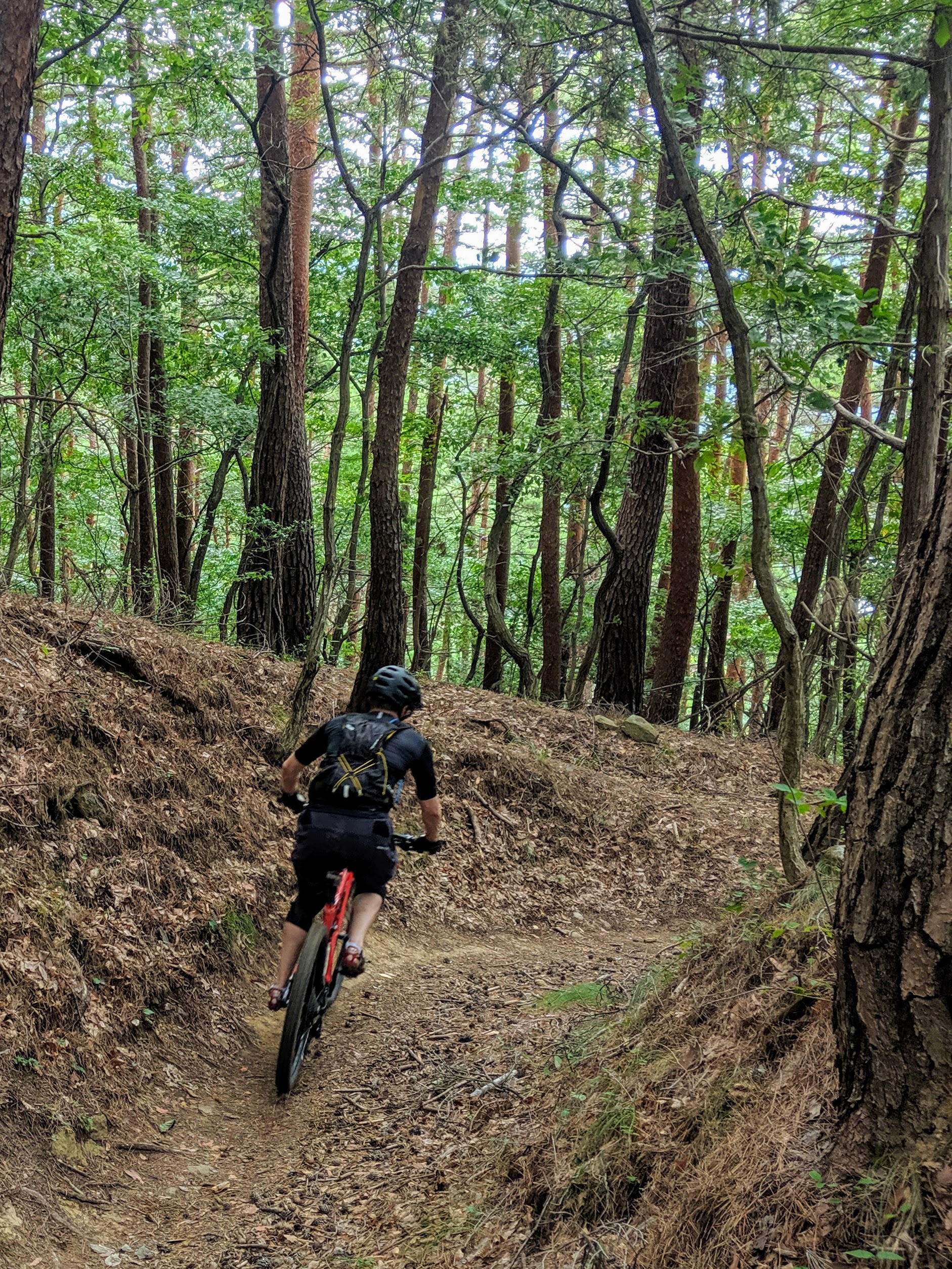 13 Days Exploring Japan’s Mountain Bike Trails and Cuisine ...