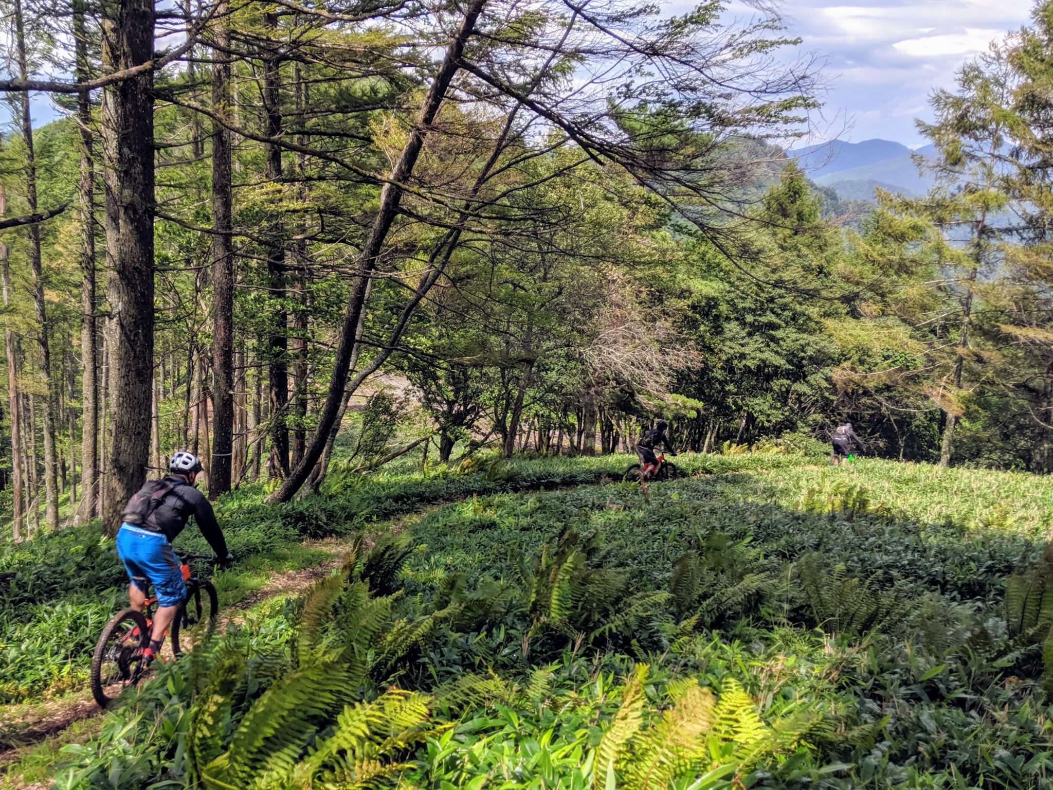 13 Days Exploring Japan’s Mountain Bike Trails and Cuisine ...