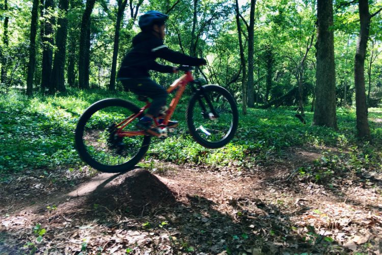 Backyard Bike Park: 3 Easy-to-Build MTB Trail Features - Singletracks ...