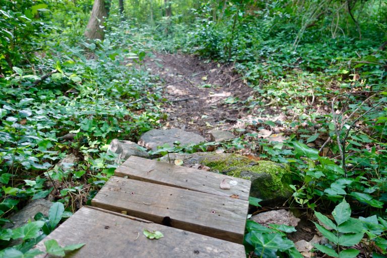 Backyard Bike Park: 3 Easy-to-Build MTB Trail Features - Singletracks ...