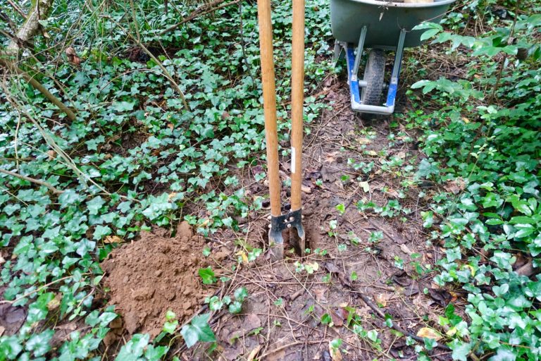 Backyard Bike Park: 3 Easy-to-Build MTB Trail Features - Singletracks ...