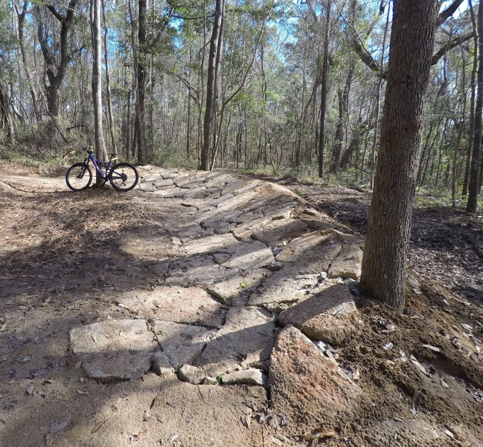 4 Ways the Current Pandemic Has Positively Impacted Mountain Biking ...