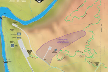 Englishman River Falls Provincial Park Mountain Bike Trail in Errington ...