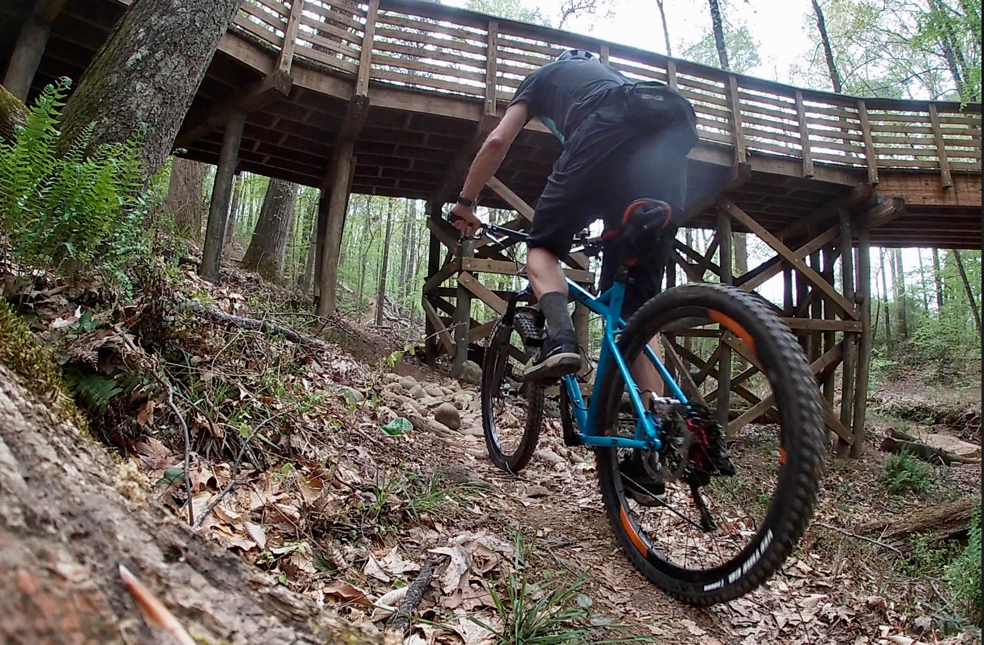 Riding Alone: 4 Tips for Solo Mountain Biking - Singletracks Mountain ...