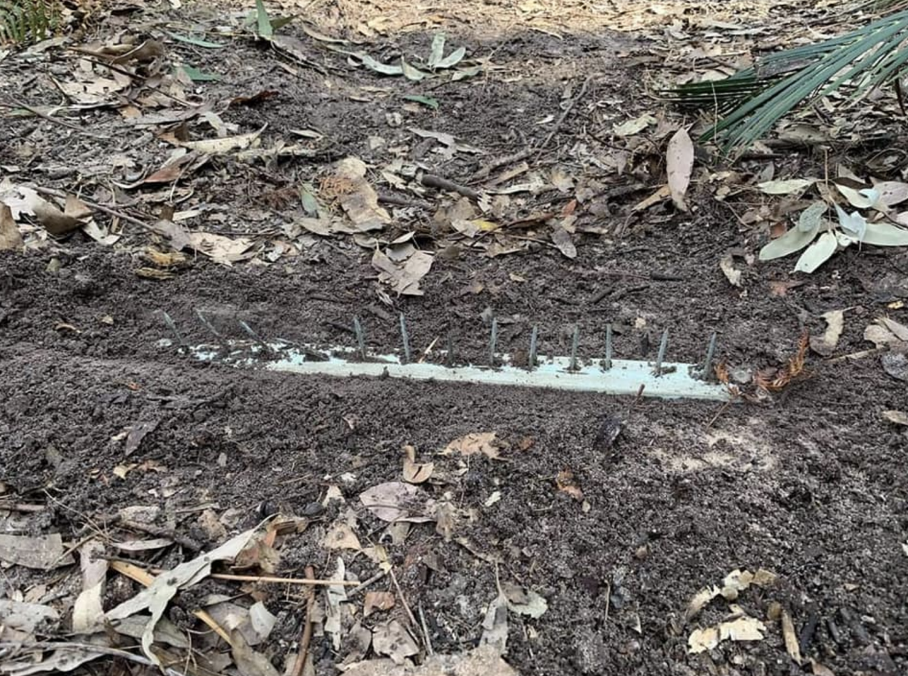 Mountain Bikers Find Sinister Strip of Nails Planted on Australian ...
