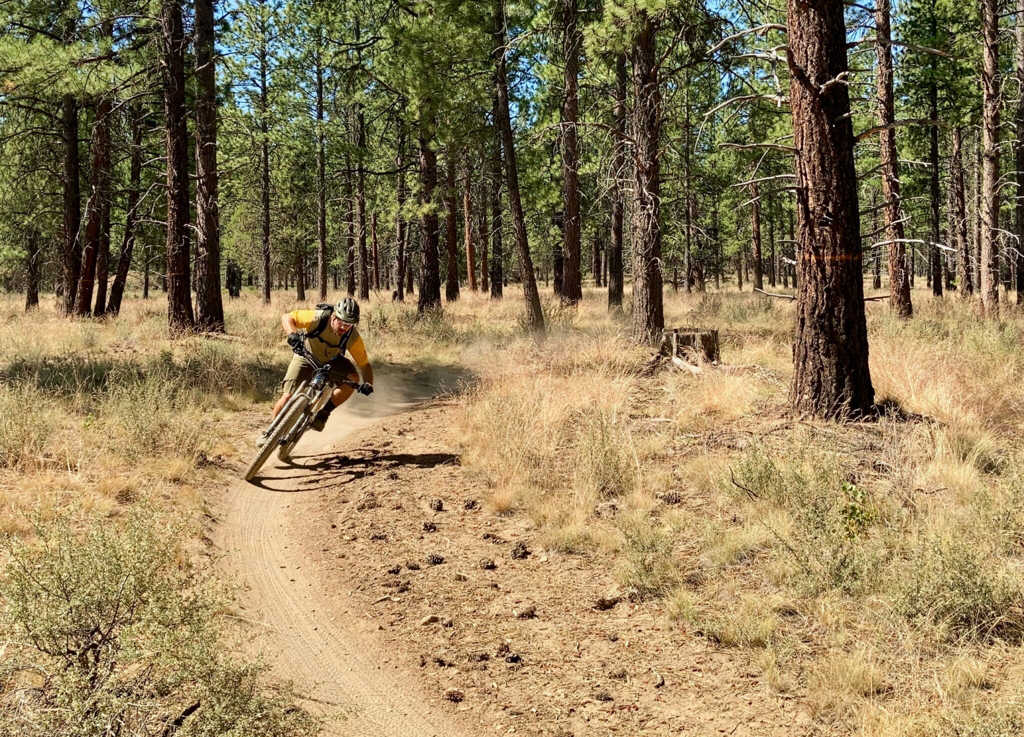 Looking Good in the Woods: Summer MTB Jersey Roundup - Singletracks ...