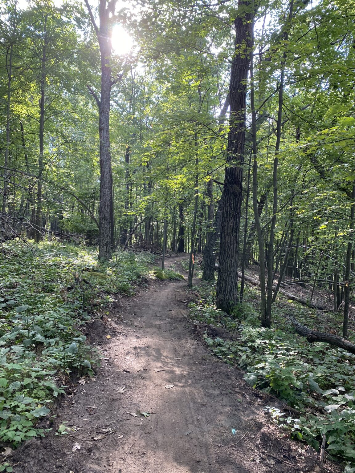 Standing Rocks Mountain Bike Trail in Stevens Point, Wisconsin ...