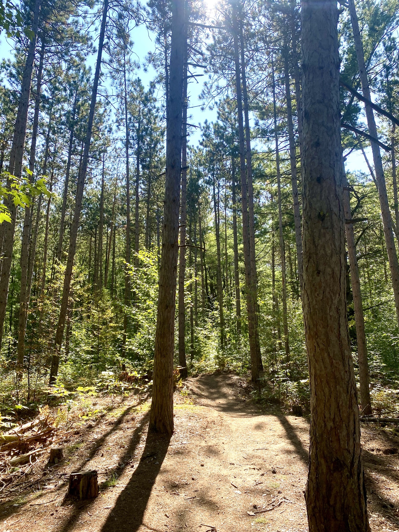 Midland SCMBC Trail Mountain Bike Trail in Midland, Ontario ...