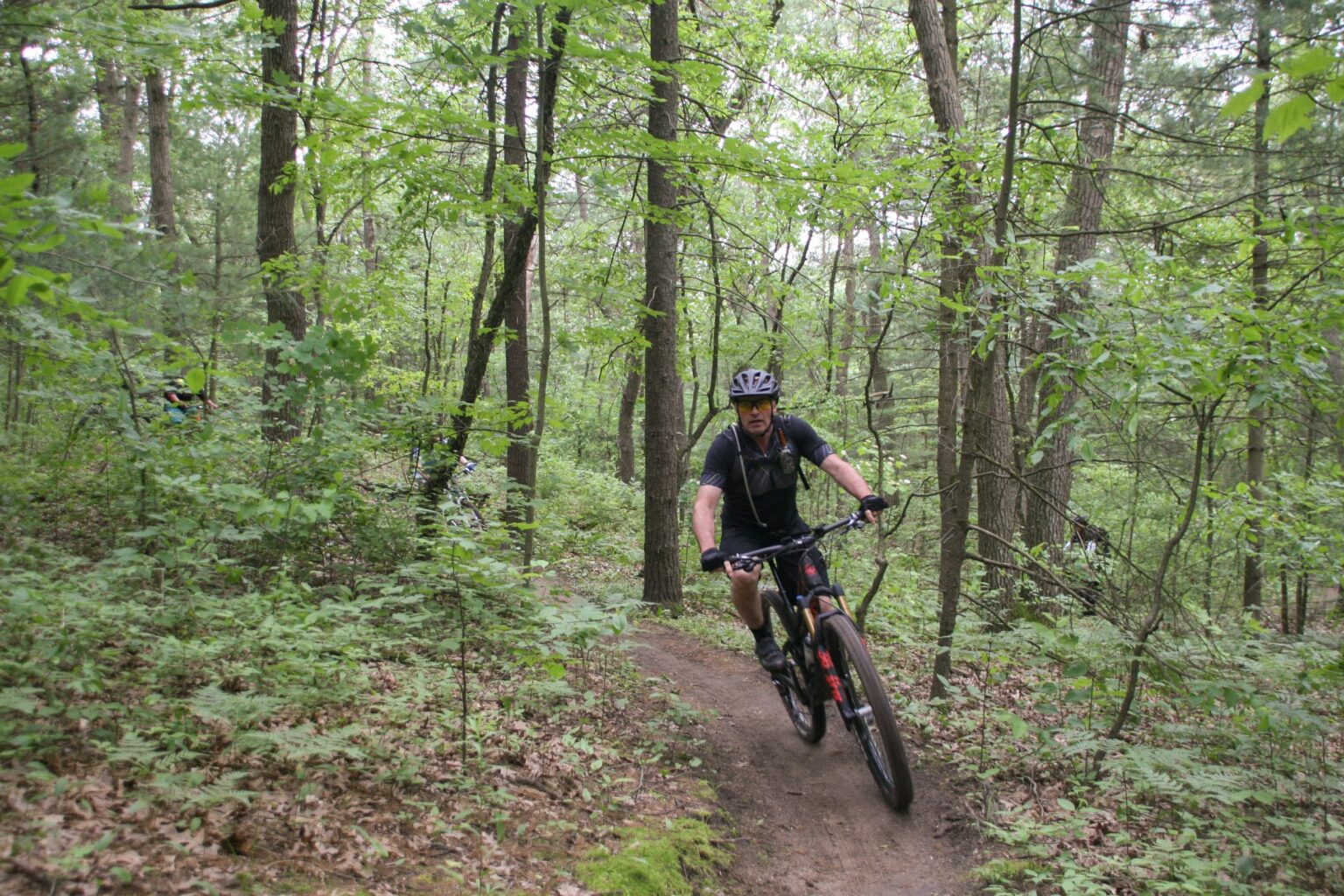 The Land of Sand: The Turkey Point, Ontario MTB Trails - Singletracks ...