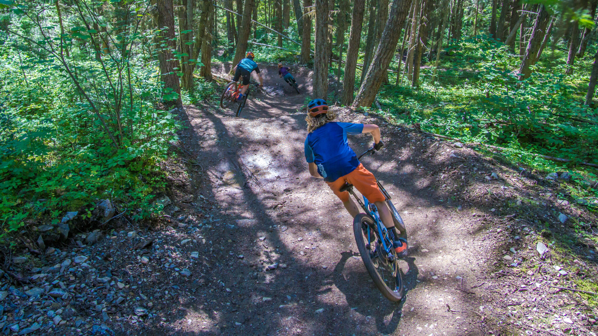 Digging up Trail Fossils and Loamy Gold in Quesnel, BC - Singletracks ...