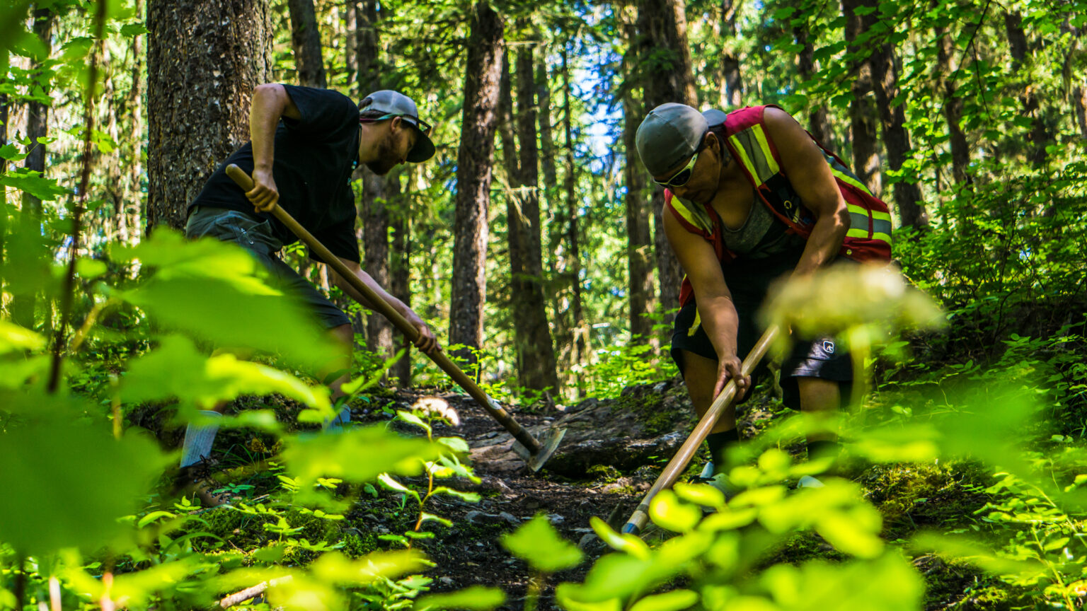 Digging up Trail Fossils and Loamy Gold in Quesnel, BC - Singletracks ...