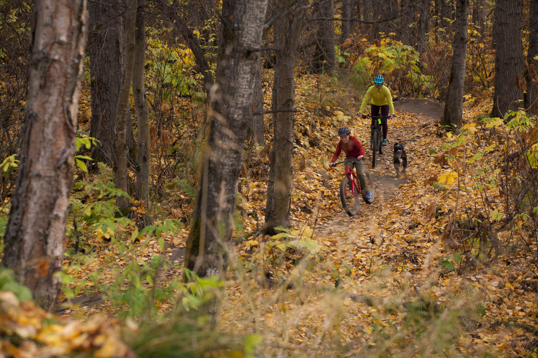 Guide to Mountain Biking Around Anchorage, Alaska - Singletracks ...