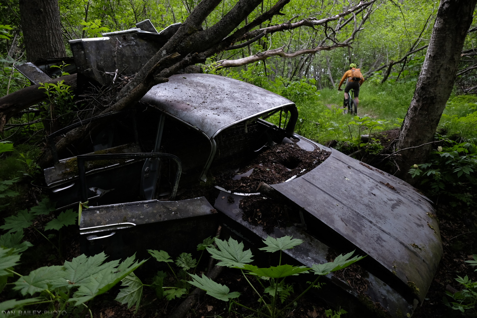 Guide to Mountain Biking Around Anchorage, Alaska - Singletracks ...