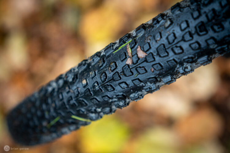 Maxxis Rekon Race MTB Tires Review: XC Speed and Surprising Grip ...
