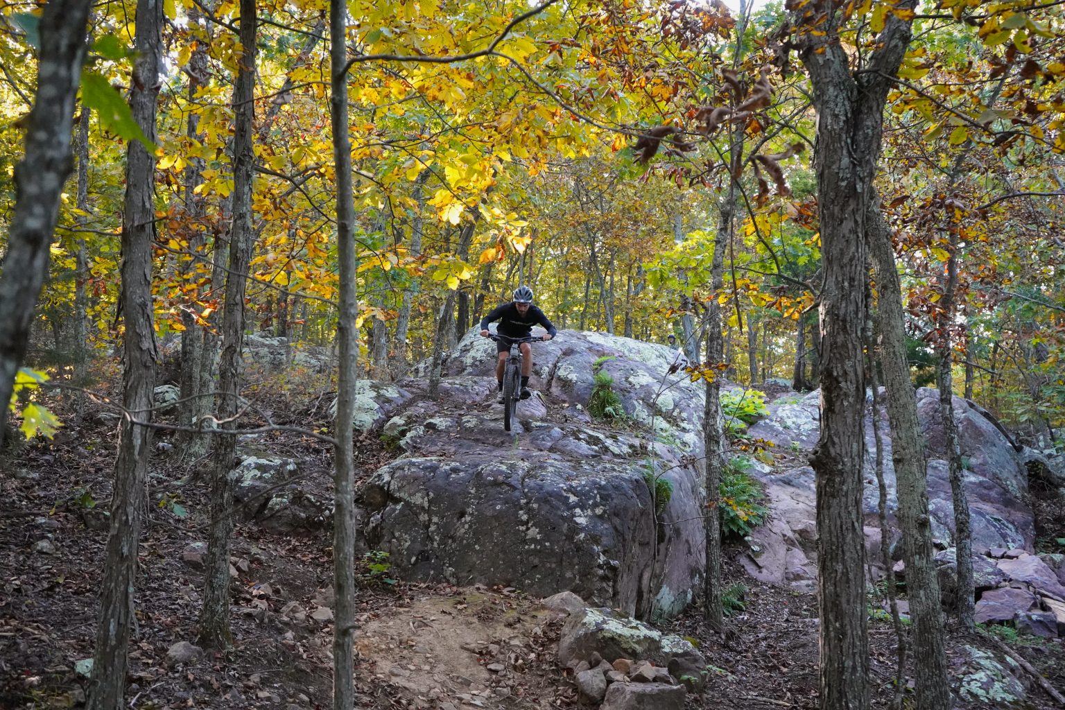 Shepherd MTB Park in Missouri Brings New Gravity Trails to the Midwest ...