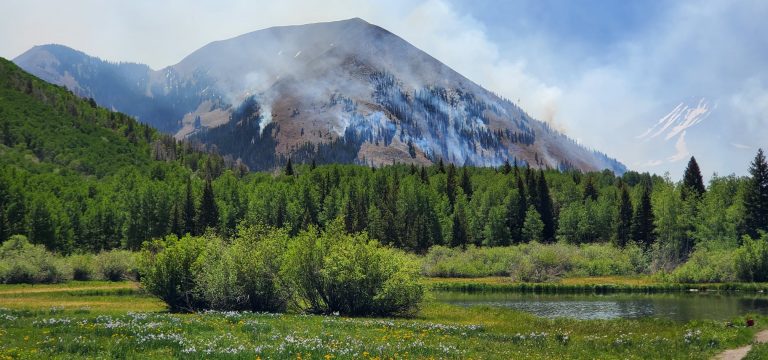 The Pack Creek Fire Closes on Containment, but Damage to the Whole ...