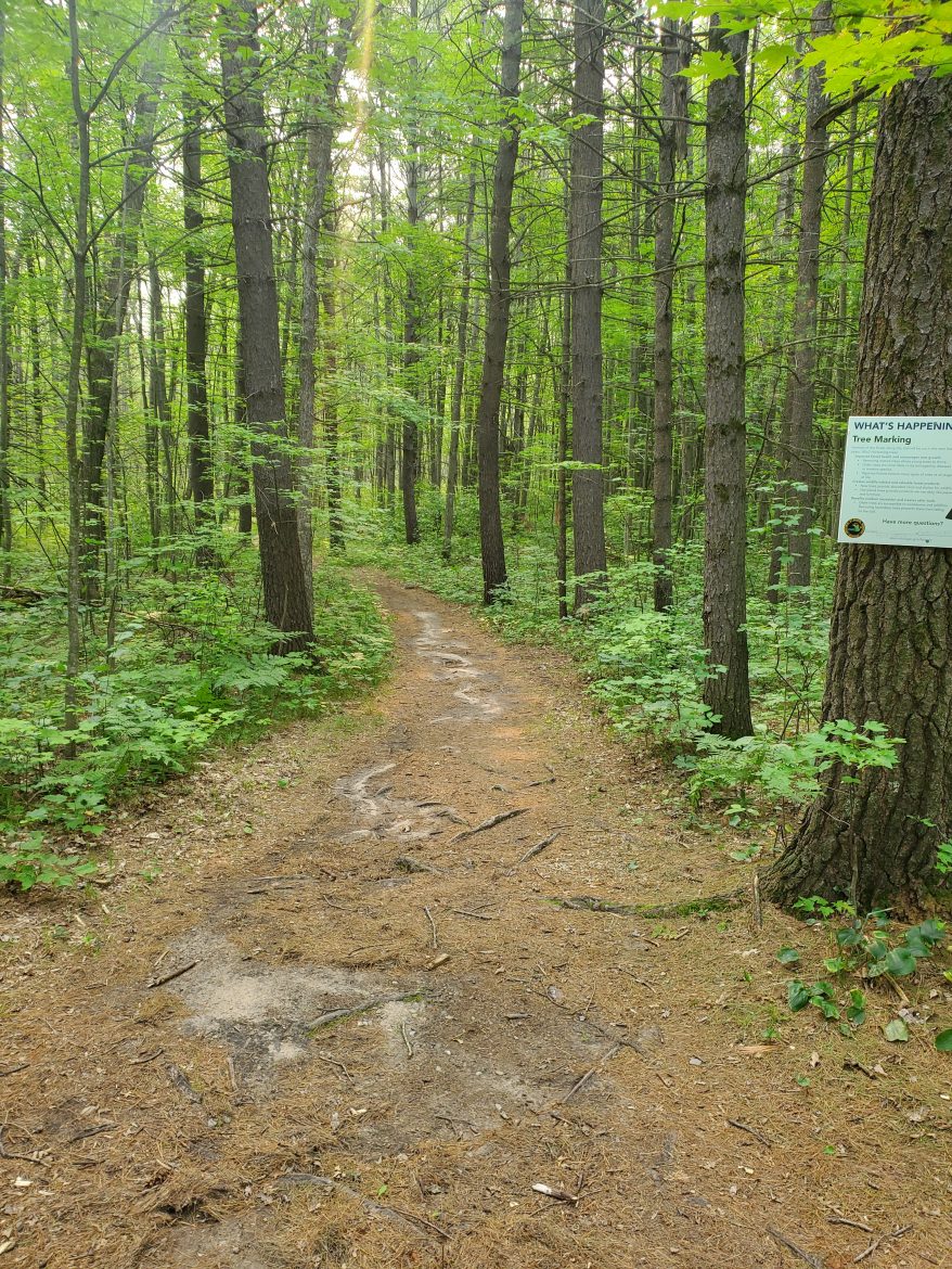Ogemaw Hills Pathway Mountain Bike Trail in West Branch, Michigan ...