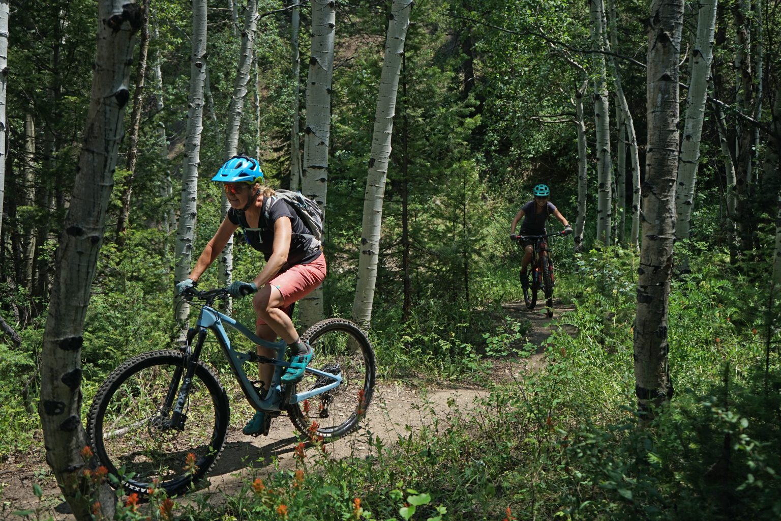 Singletracks Best MTB Reads: July - Singletracks Mountain Bike News