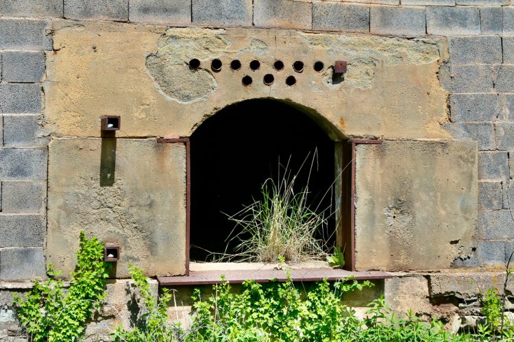 Coal Basin Ranch: A Tale of Trails and Transformation - Singletracks ...