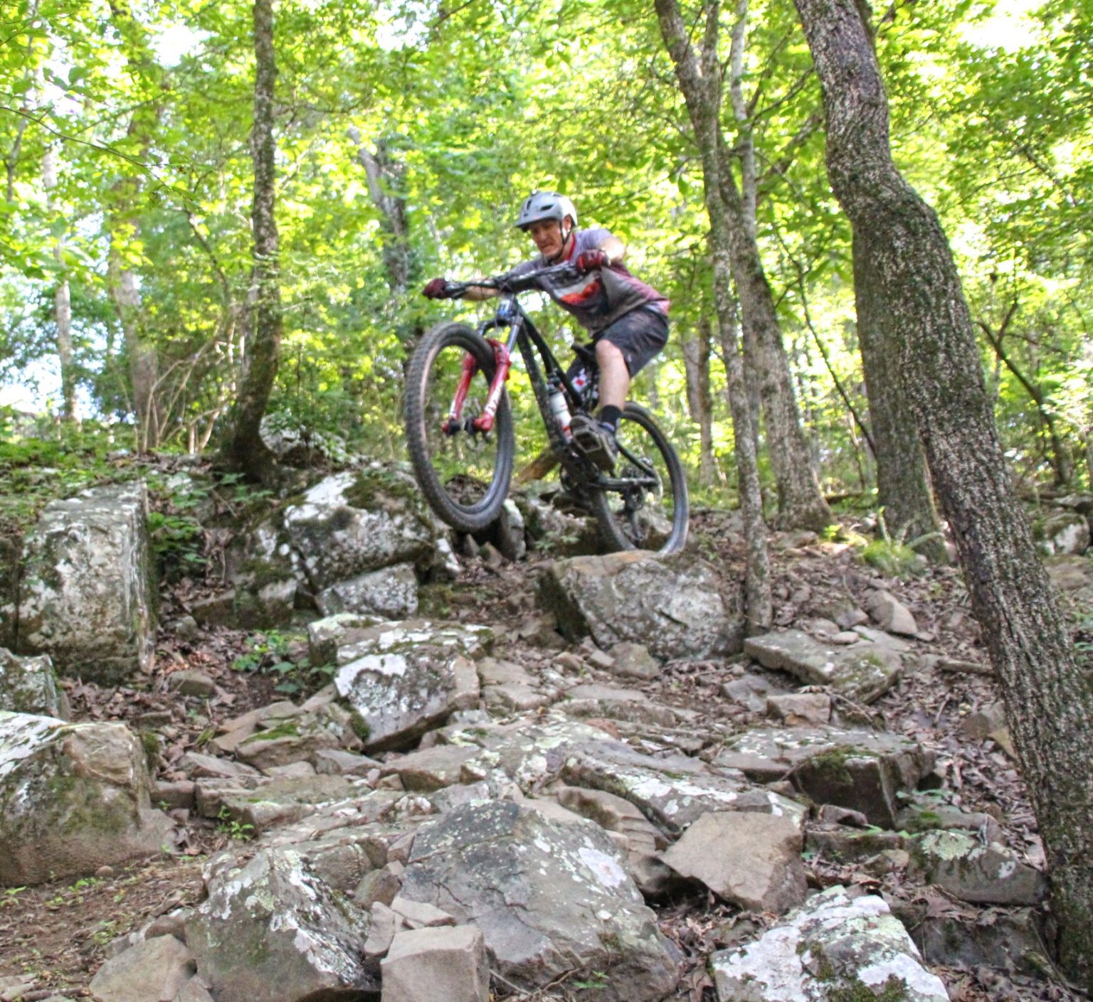 River Mountain Park in Little Rock Adds More Diversity to Arkansas ...