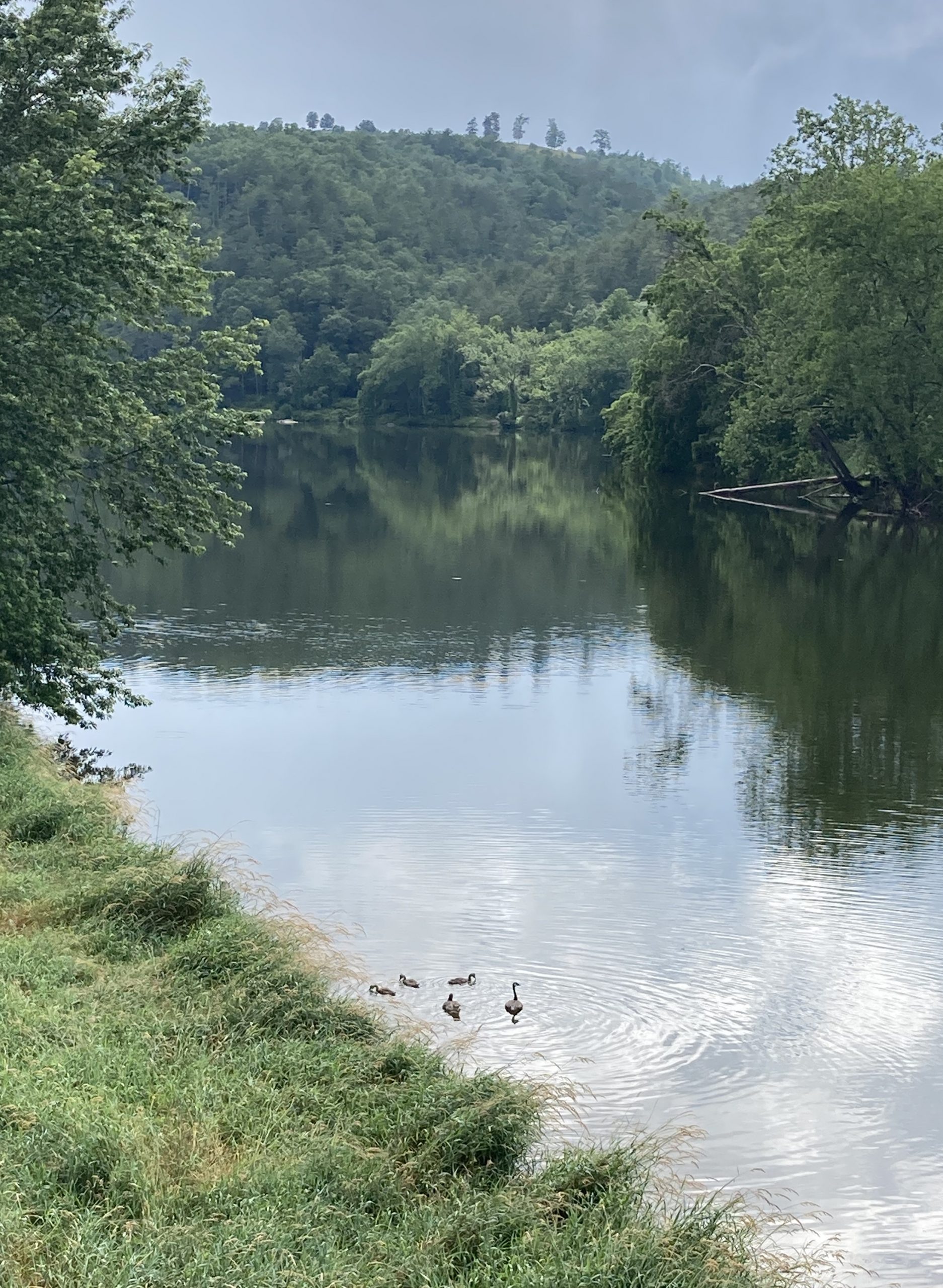 New River Trail State Park Mountain Bike Trail in Foster Falls ...