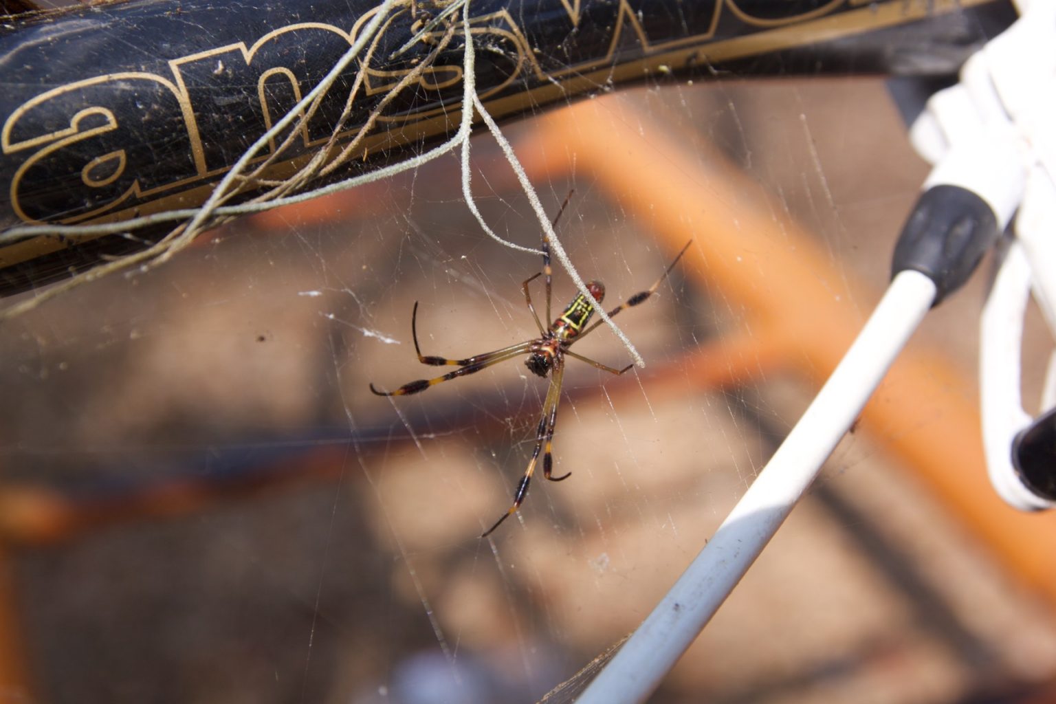 Singletracks Best MTB Reads: September 2021 - Singletracks Mountain ...