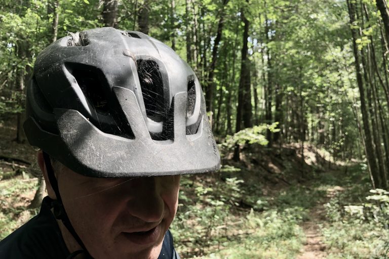🕷 How do you Deal with Spider Webs on the Trail? - Singletracks ...