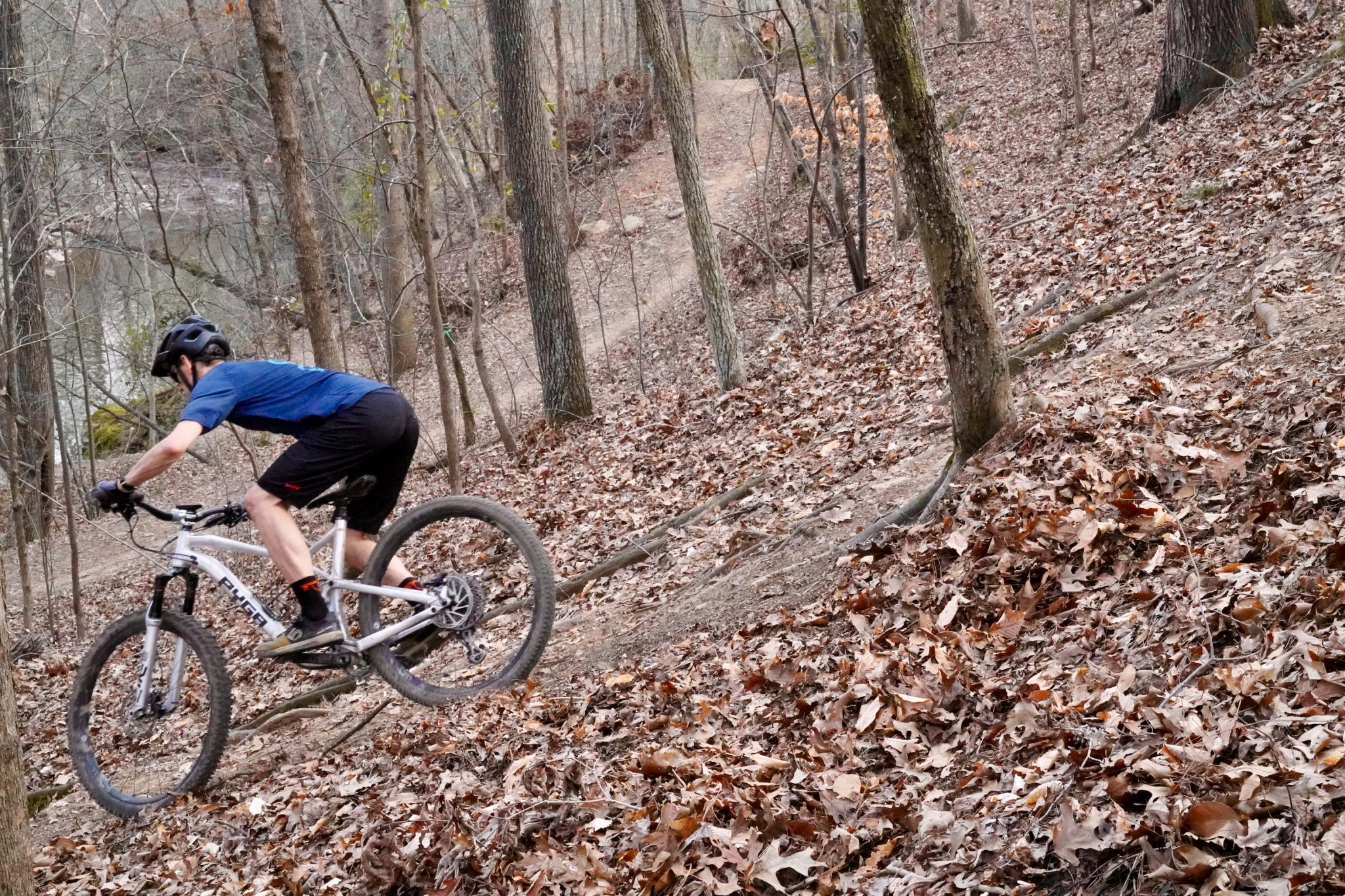 Which Word(s) Best Describes Your Mountain Bike Riding Style ...