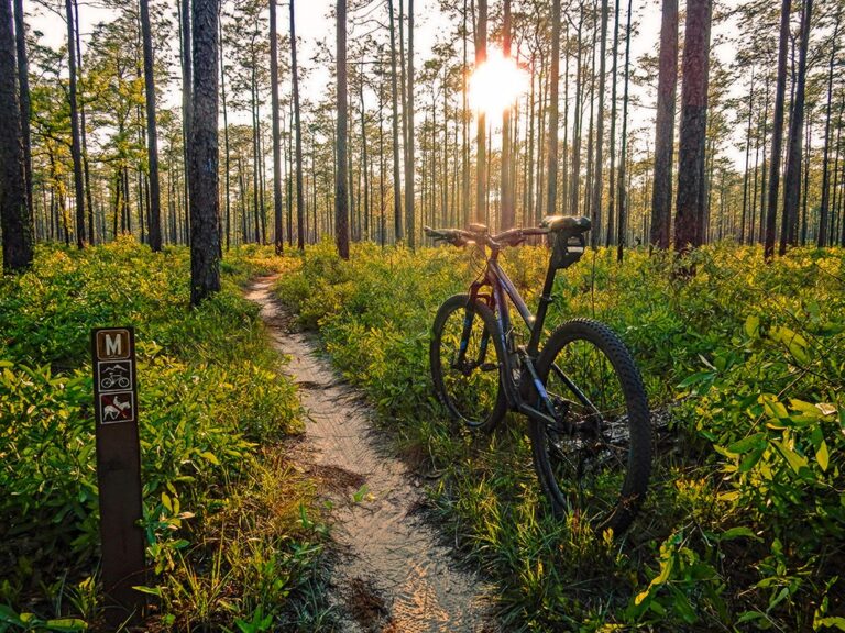 Ride Like a Local: Finding Fun and Flow on the Best Tallahassee Bike ...
