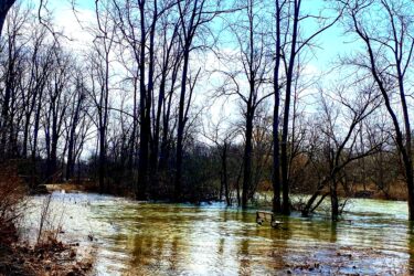 Springbank park Mountain Bike Trail in London, Ontario - Directions ...