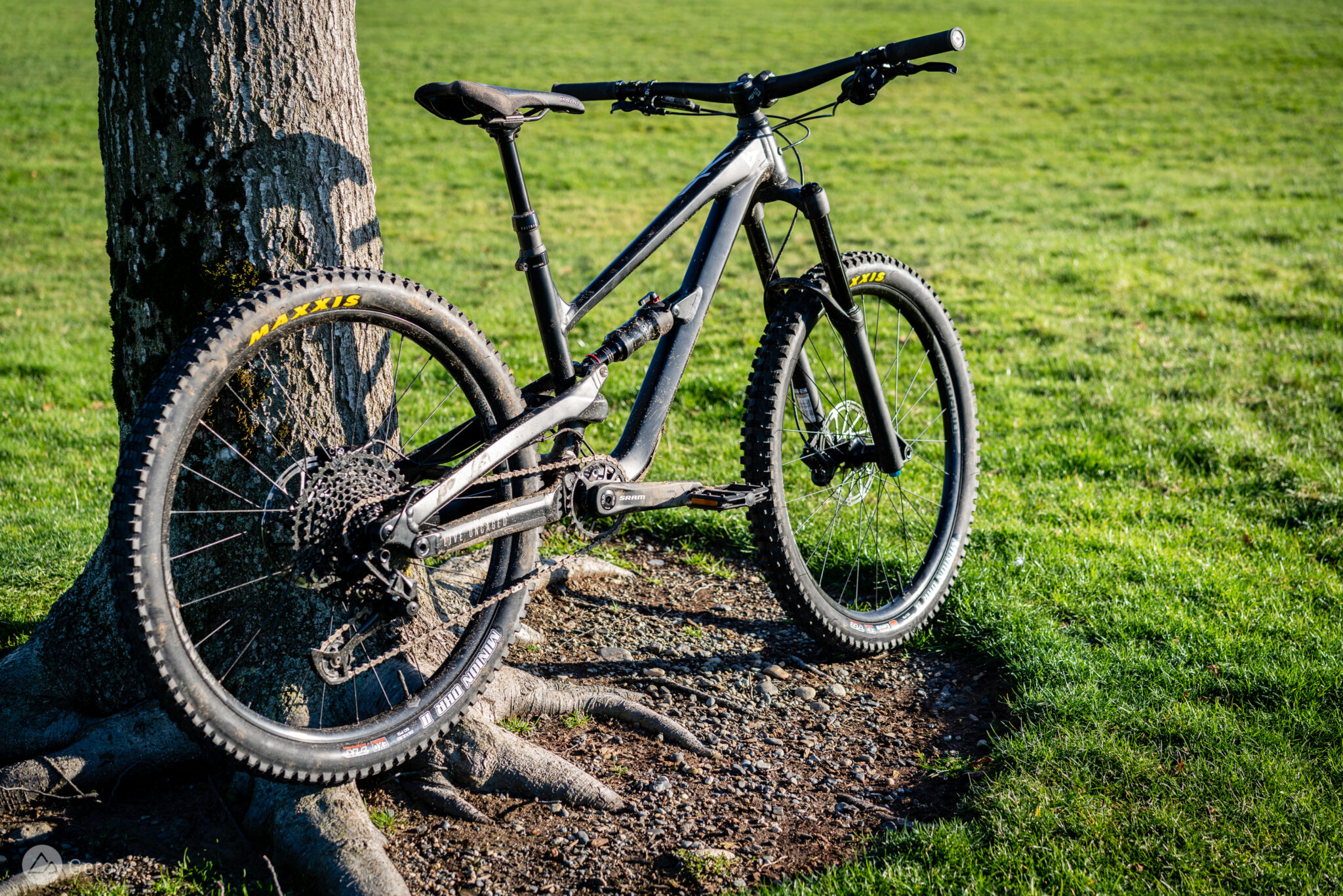 YT Industries Jeffsy Primus: A Legit Trail Ripper for Rippers With ...
