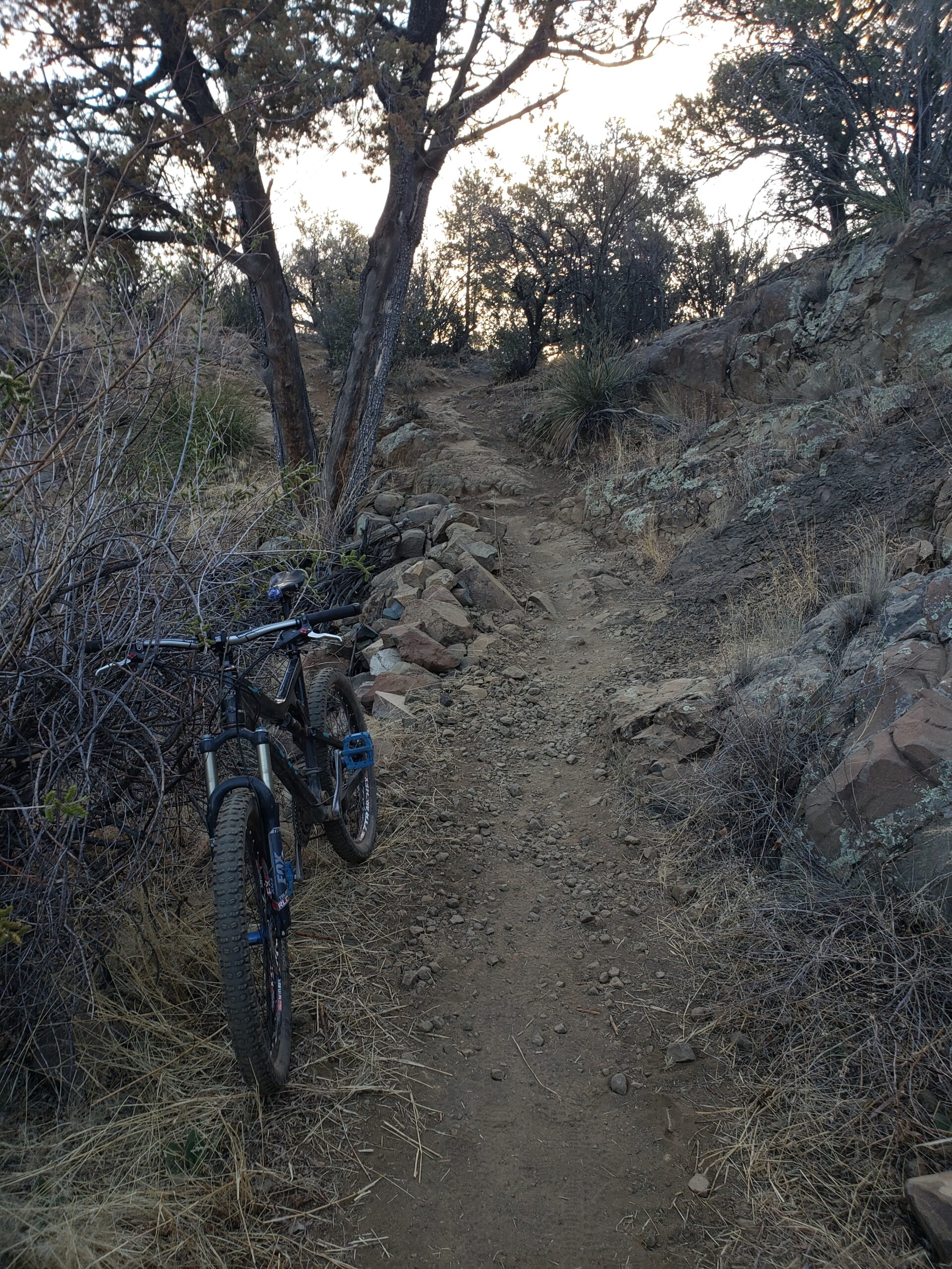 Fort Bayard Trail System Mountain Bike Trail in Bayard, New Mexico ...